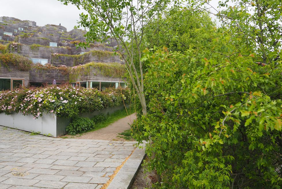 Together by Design: The Art and Architecture of Communal Living ...