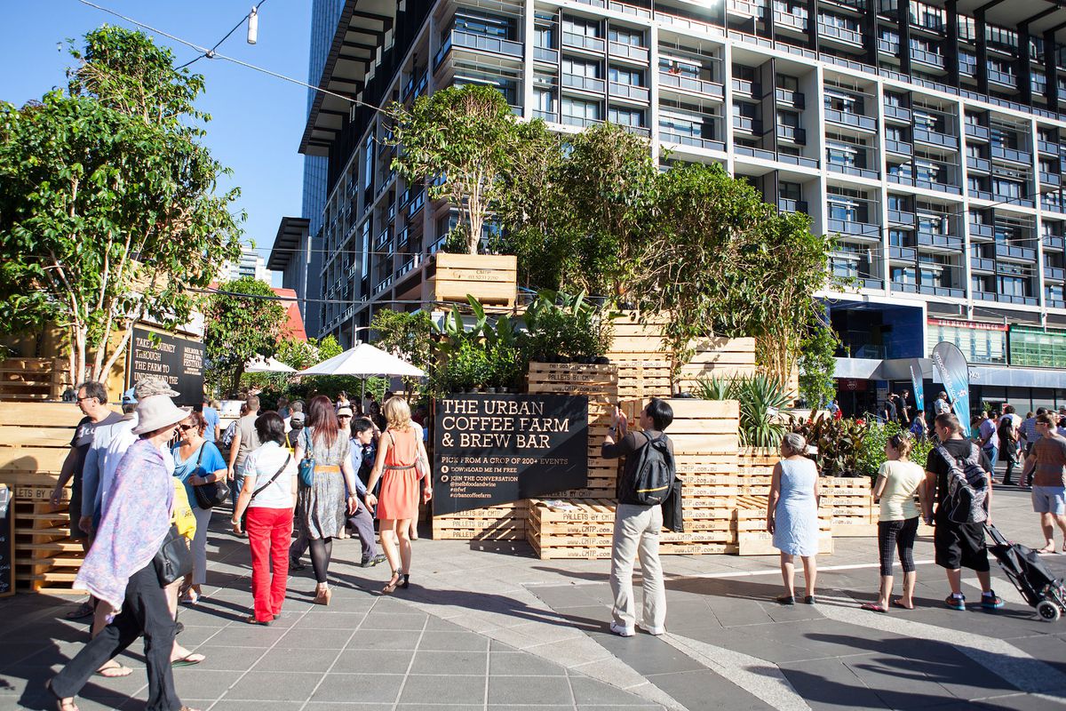 Urban Coffee Farm and Brew Bar | ArchitectureAu
