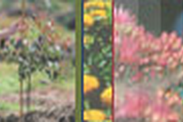 Tweed Shire Council | Landscape Australia