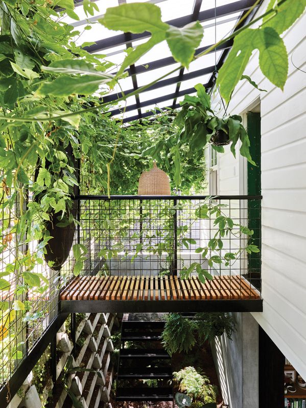 Full bloom: Terrarium House | ArchitectureAu