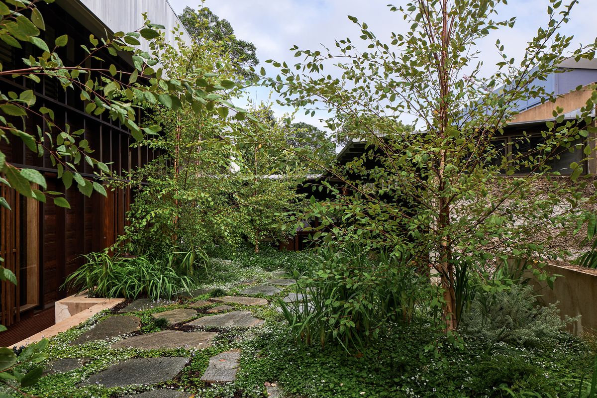 Y3 Garden by Dan Young Landscape Architect with Donovan Hill | ArchitectureAu