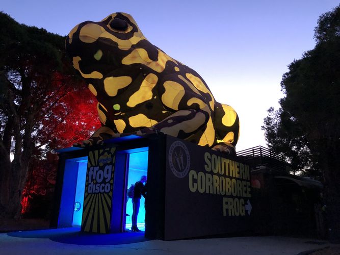 Corroboree Frog by Plico Design Studio | ArchitectureAU