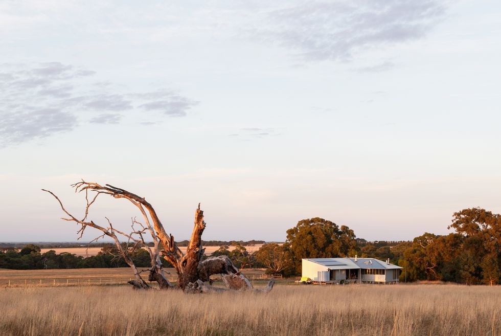 Spring Creek Road Farm House by Architect Brew Koch | ArchitectureAu