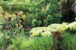 Peter Walker and Partners (PWP) | Landscape Australia