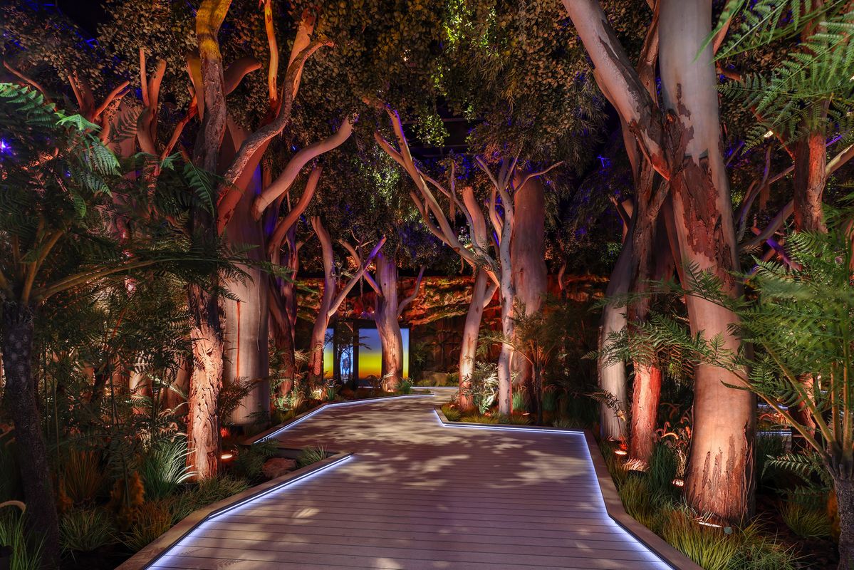 Australia Pavilion opens at World Expo 2025 in Osaka | ArchitectureAu