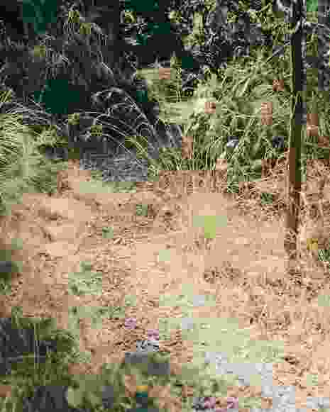 Ground-up transformation: Decolonizing the garden | Landscape Australia