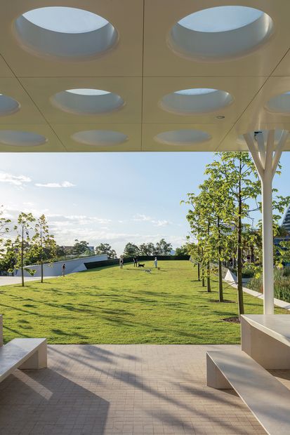 An ecological engine: The Drying Green | Landscape Australia