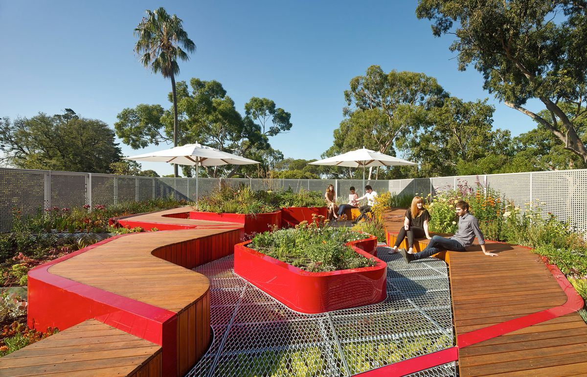 Green roofs boost concentration, University of Melbourne study finds ...
