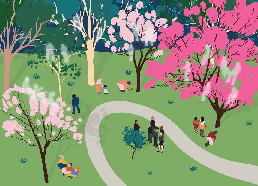 Memory forests: designing the future of cemeteries | Landscape Australia