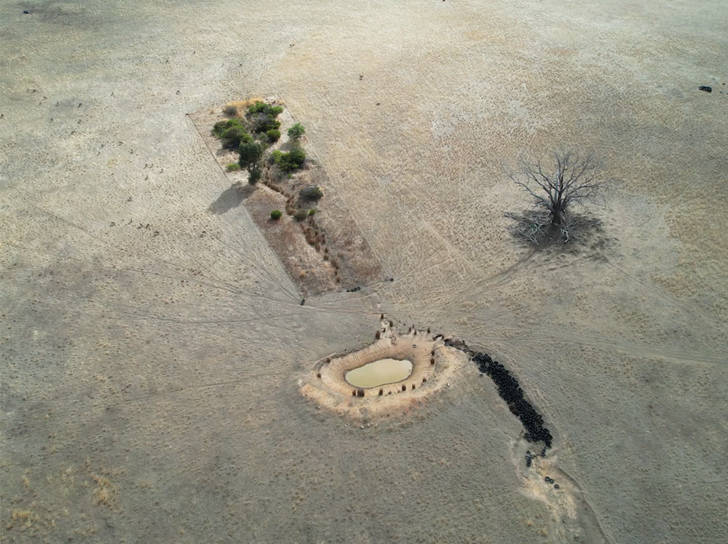 Urban biodiversity and design: Towards a shared language between ...