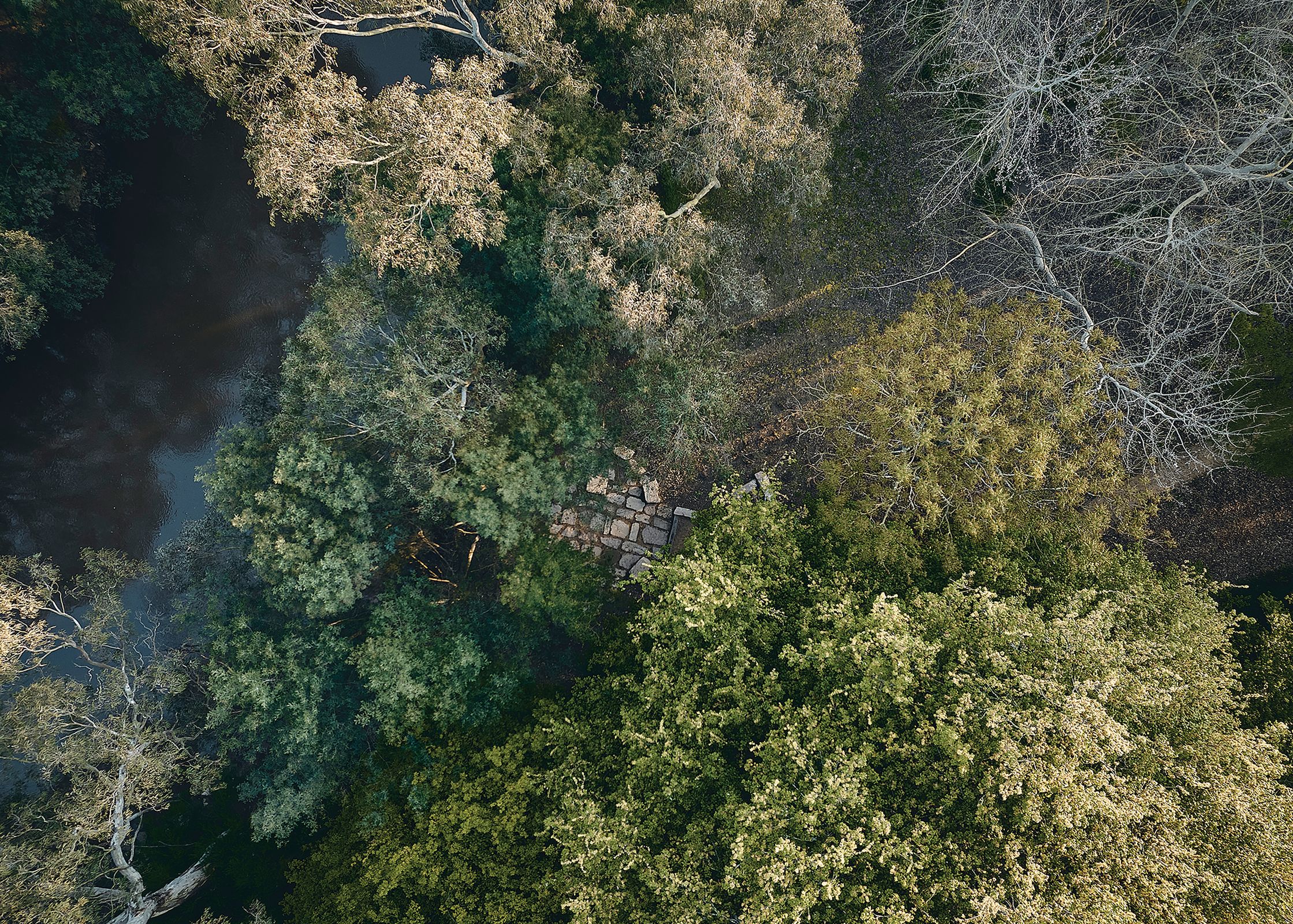 Considered restraint: Yaluk Langa | Landscape Australia
