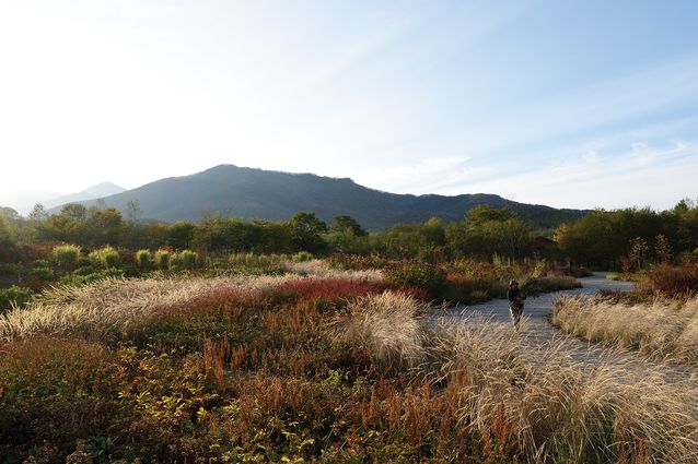 Evoking the natural: Dan Pearson | Landscape Australia
