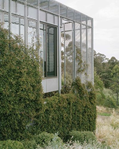 Hedge and Arbour House by Studio Bright | ArchitectureAu