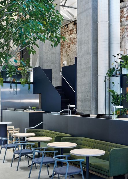 2016 Eat Drink Design Awards: Best Cafe Design winner | ArchitectureAu