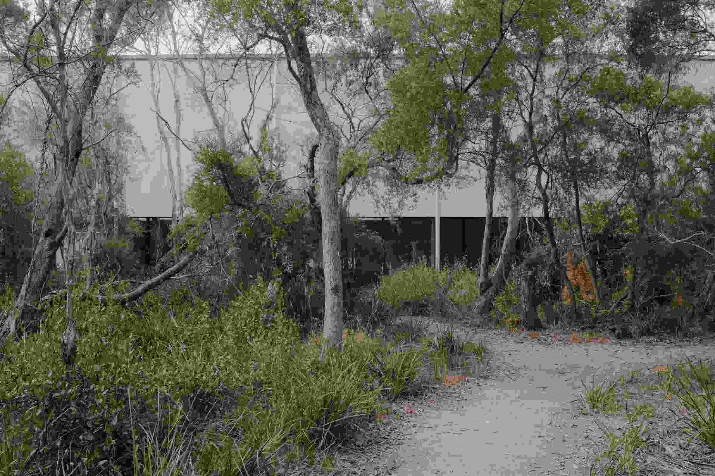 Building calm | ArchitectureAu