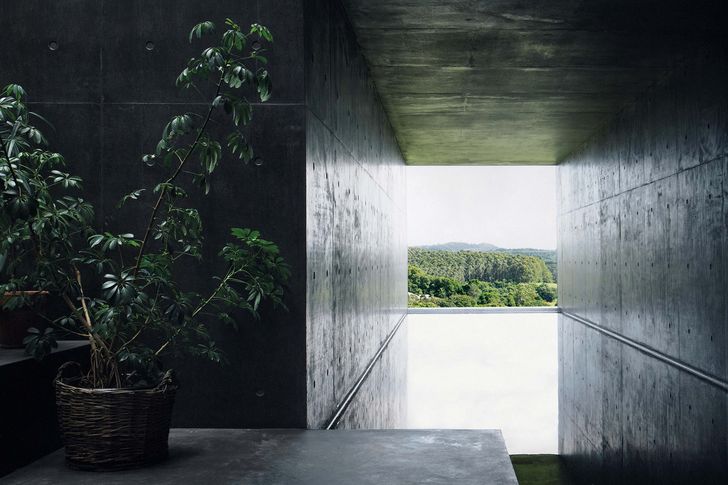 Rest and restore: Federal House | ArchitectureAu