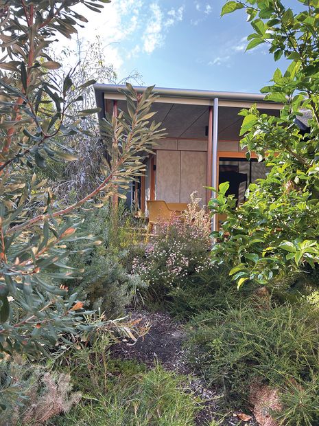 Social space: Bulwer Avenue Garden | Landscape Australia