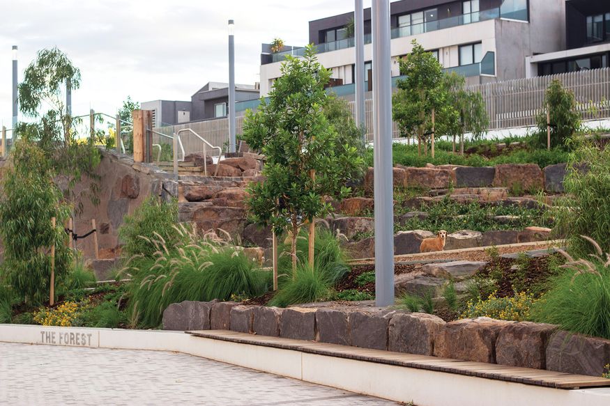 Provoking new encounters: Prahran Square | Landscape Australia