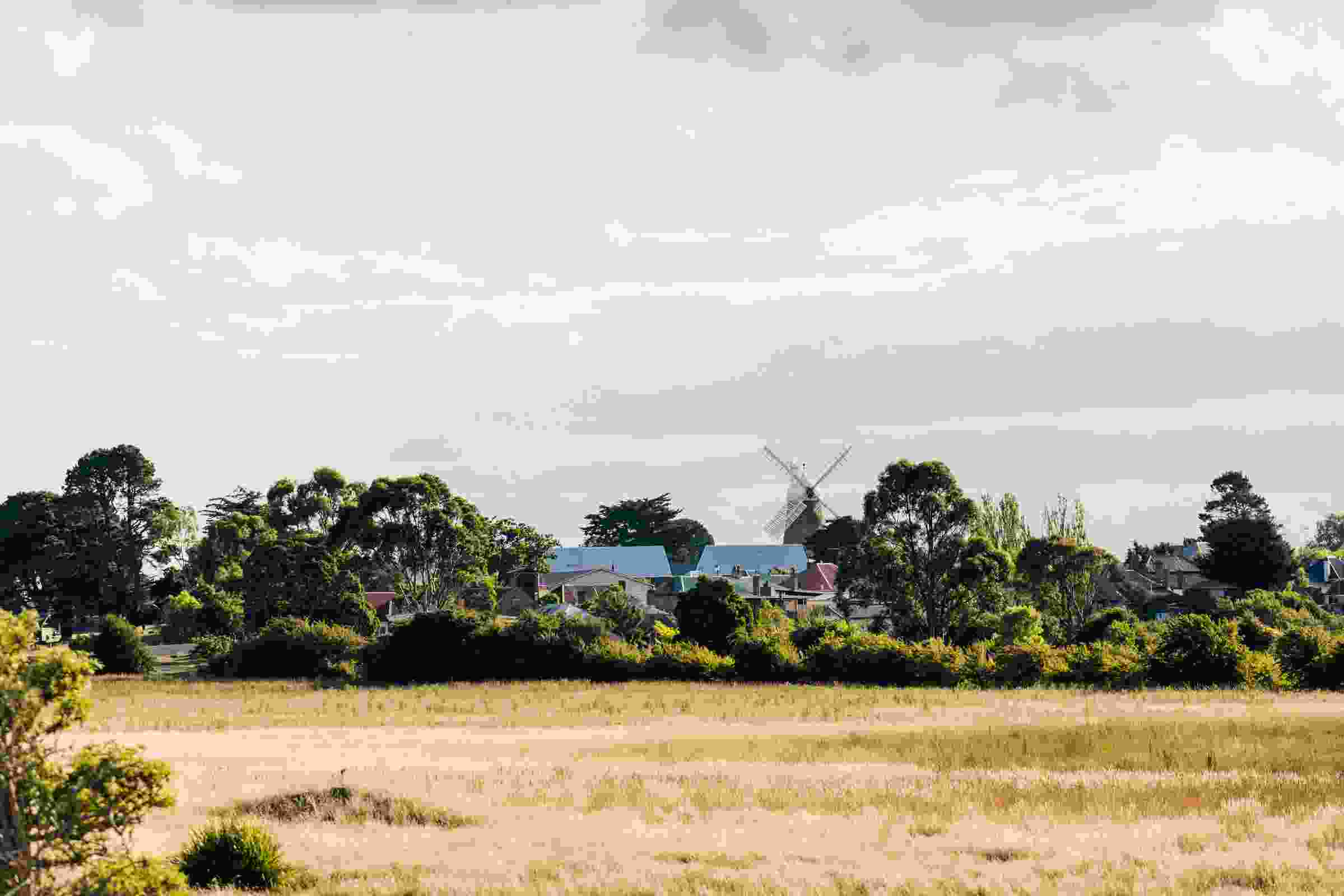 Cumulus designs whisky distillery on site of former flour mill ...