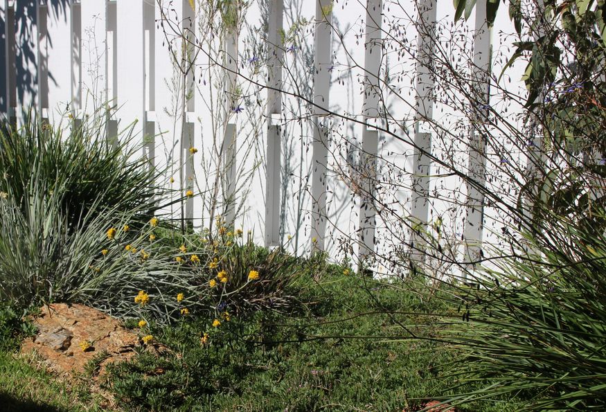 Social space: Bulwer Avenue Garden | Landscape Australia