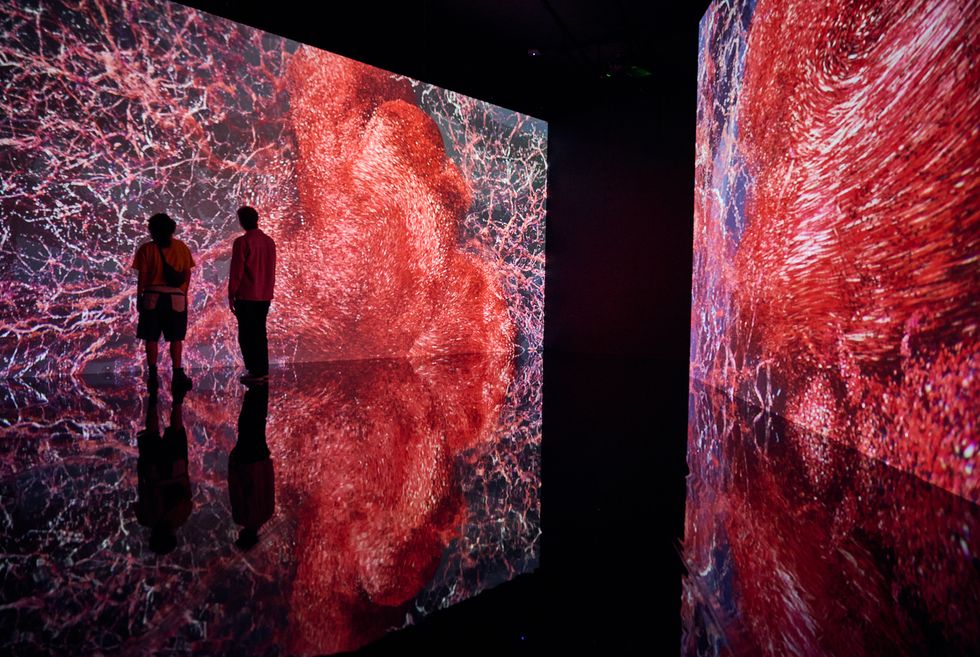 Communicating interconnection: Works of Nature at ACMI | Landscape ...