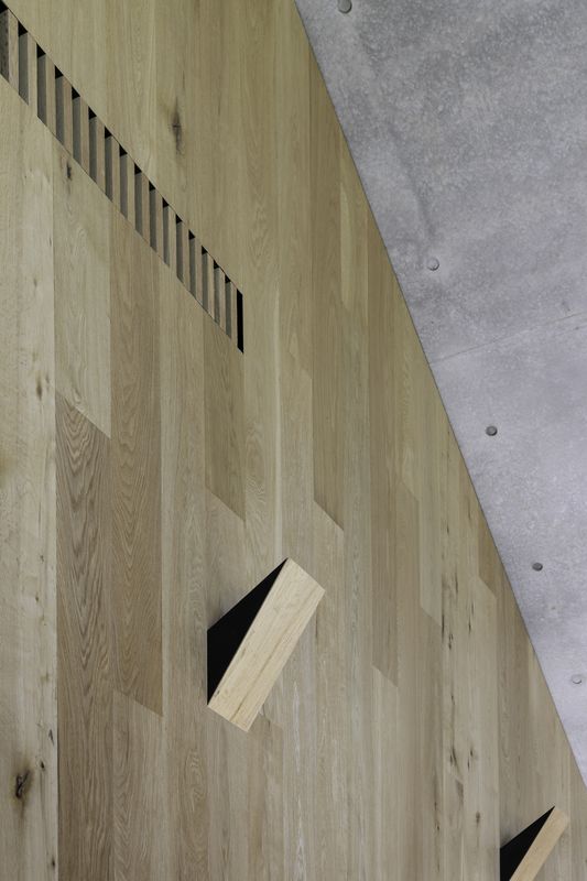 Extruded House by MCK Architects | ArchitectureAu