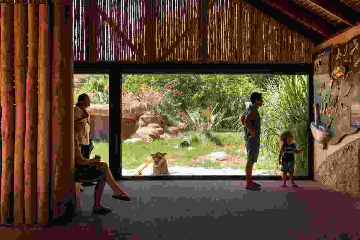 Perth Zoo Lion Exhibit – Stage A & B by McCorkell Constructions ...