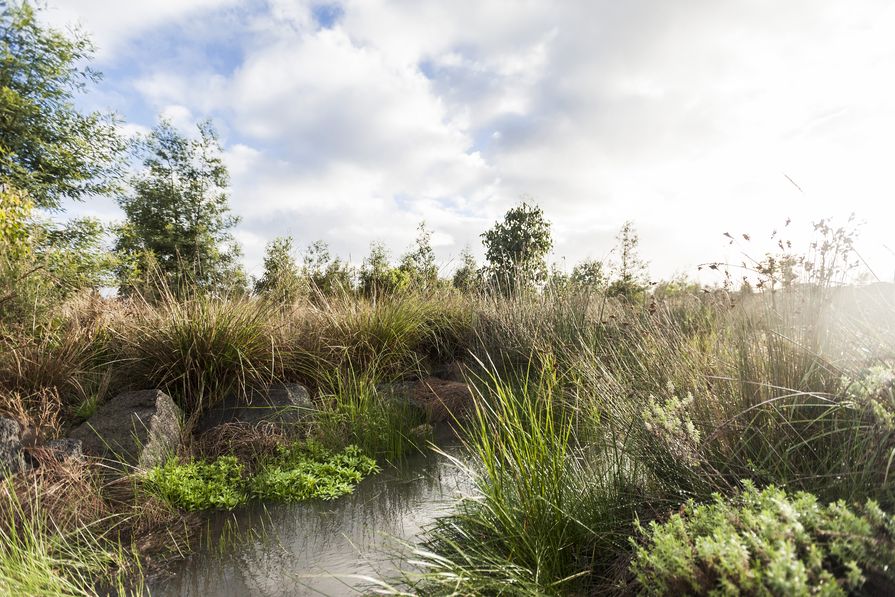 2016 National Landscape Architecture Awards: Award of Excellence for ...