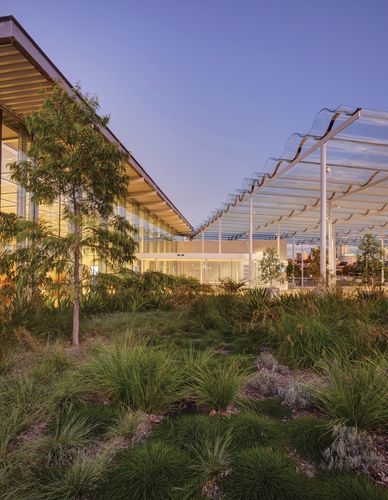 Blending into site: Sydney Modern | Landscape Australia