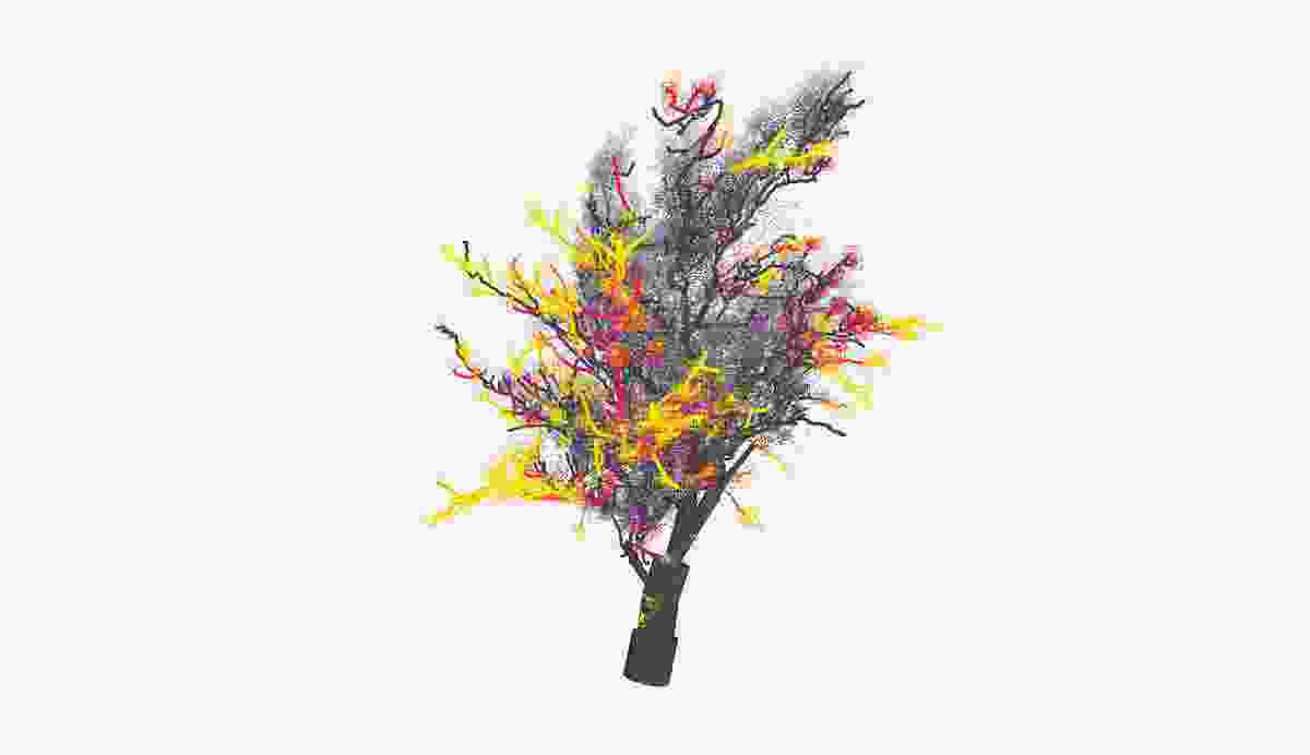 Tree designers and bird clients | Landscape Australia