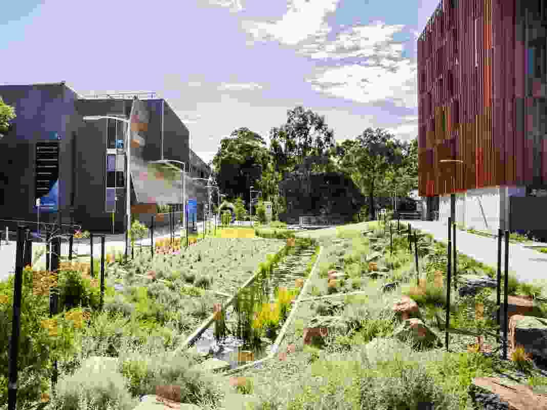 Masterclass: Indigenous Ecosystem Corridors and Nodes part 2 ...