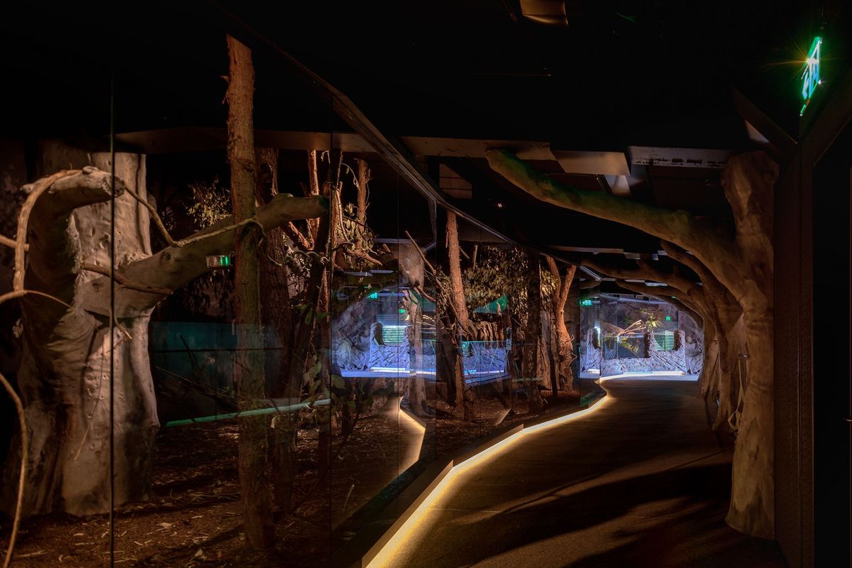 Taronga Nura Diya Experience by lahznimmo architects | ArchitectureAu