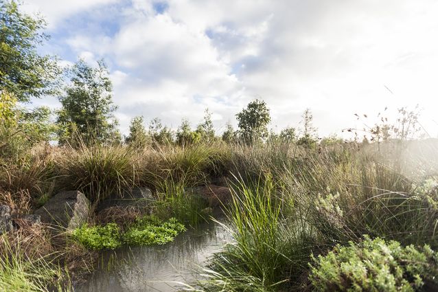 2016 National Landscape Architecture Awards: Award of Excellence for ...