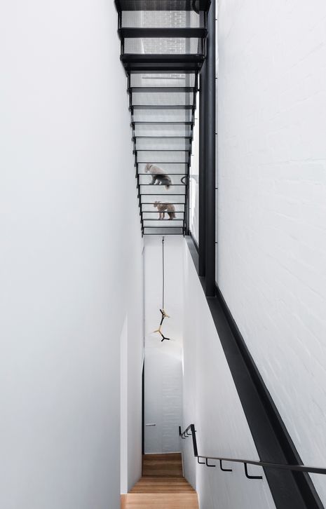 Exploiting the vertical: House in Darlinghurst | ArchitectureAu