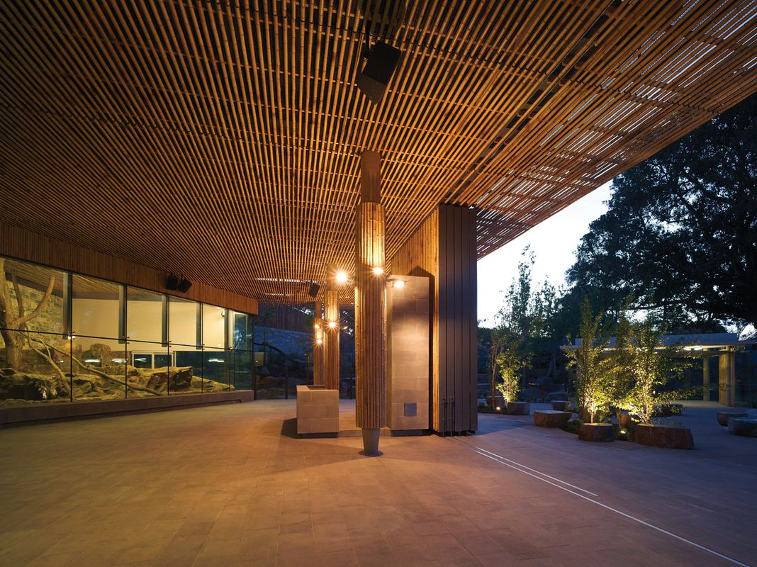 Giant Panda Bamboo Forest - Adelaide Zoo | ArchitectureAu