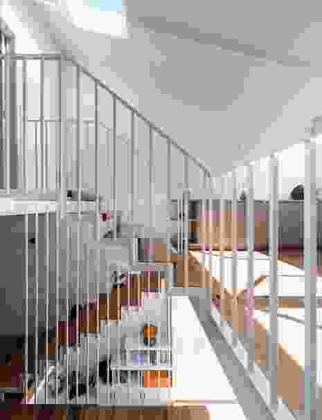 Lofty light: Newtown House | ArchitectureAu