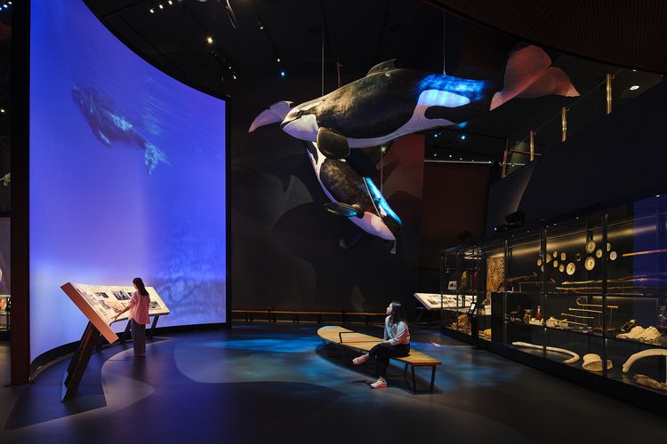 ARM completes expansion at National Museum of Australia | ArchitectureAu