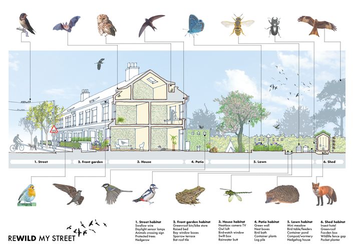Making space for wildness in Australian cities | Landscape Australia