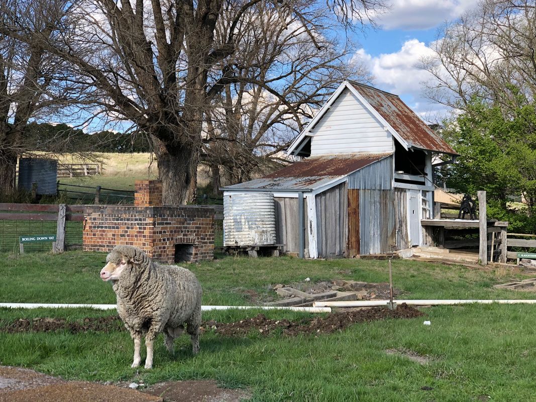 Saumarez Homestead by Purcell Architecture | ArchitectureAu
