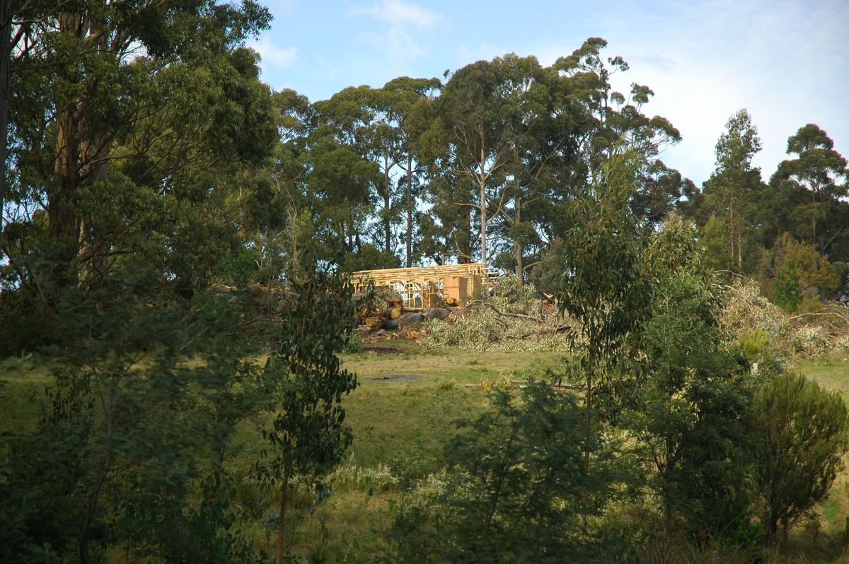 How to build a house for just $60k | ArchitectureAu