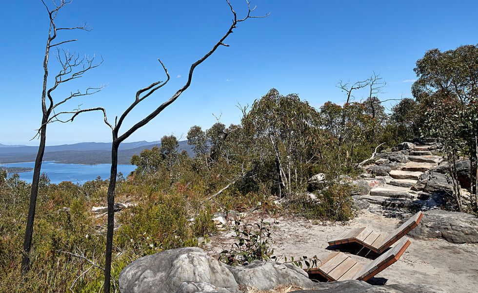 Viewpoint: A new standard for urban green infrastructure | Landscape ...