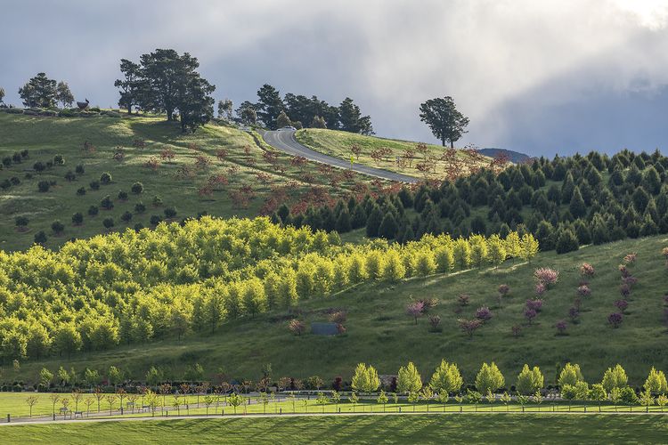 The National Arboretum Canberra by TCL | ArchitectureAu