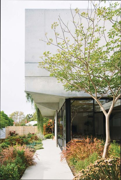 ‘An armature of experiences’: Reed House | ArchitectureAu