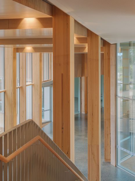 MASSLAM engineered timber from Australian Sustainable Hardwoods ...