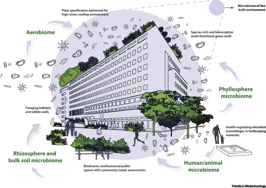 Designing the microbiome | Landscape Australia