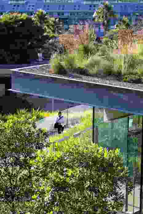 Blending into site: Sydney Modern | Landscape Australia