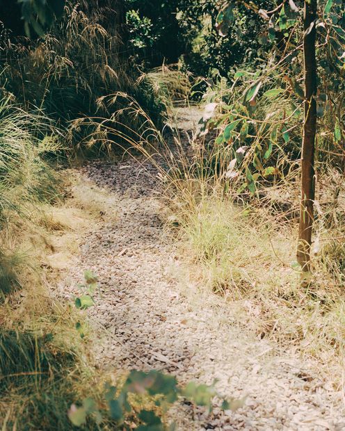 Ground-up transformation: Decolonizing the garden | Landscape Australia