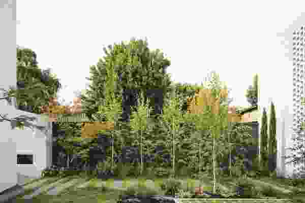 CSIRO to test urban development concepts | Landscape Australia