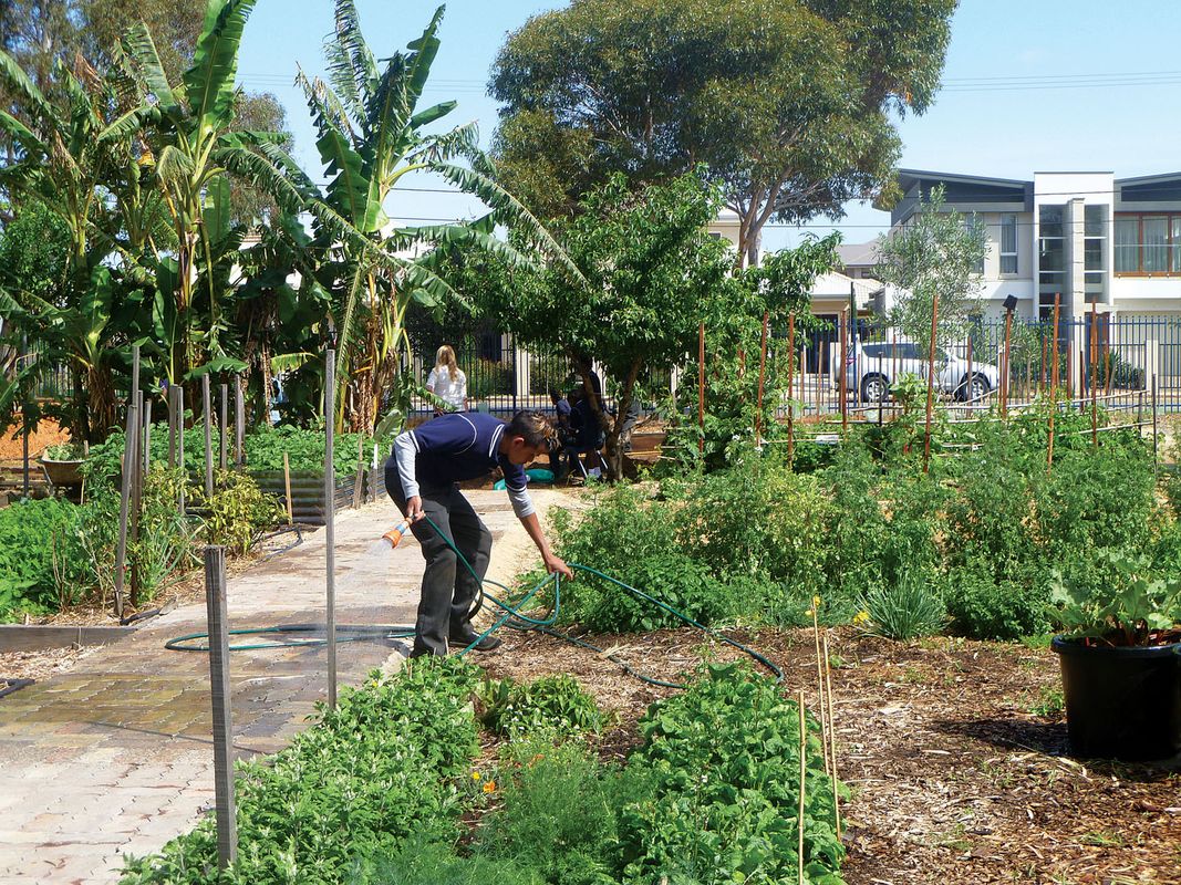 Bloom – Project Themes | ArchitectureAU