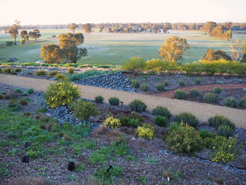 Slow growth: Australian Botanic Gardens Shepparton | Landscape Australia